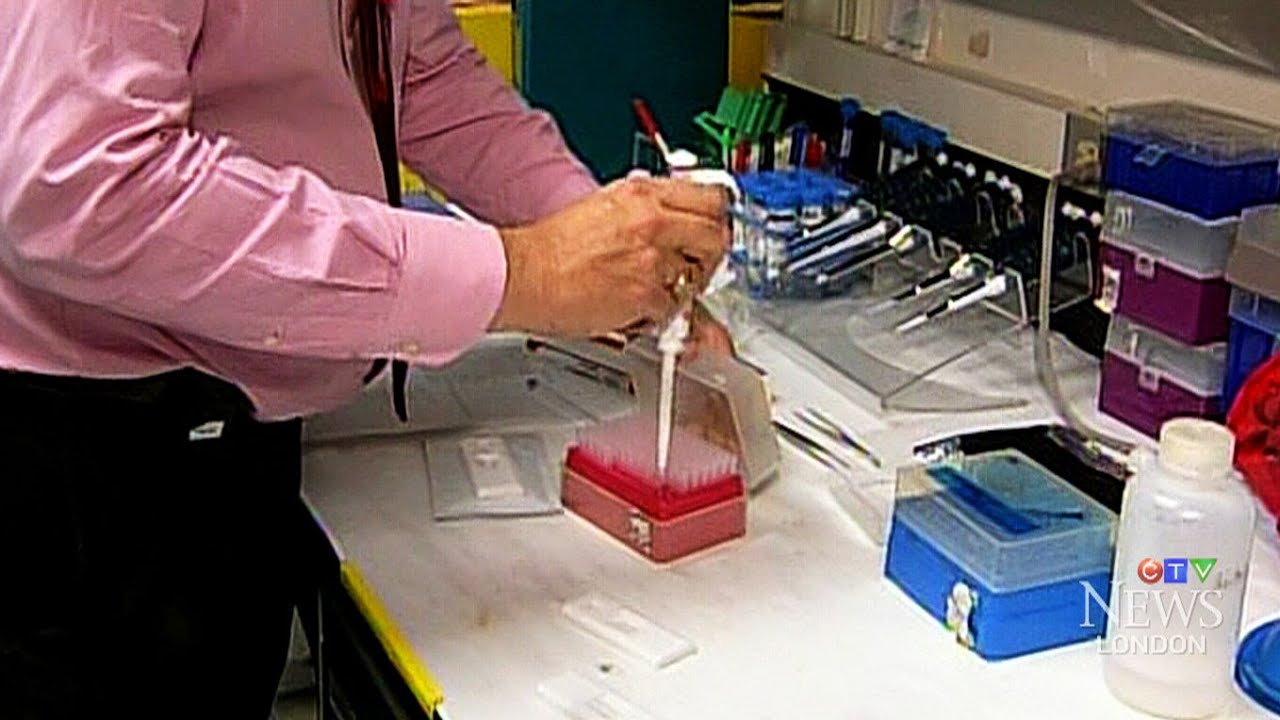 New rapid-test for E. coli deemed 'food safety game changer' - YouTube