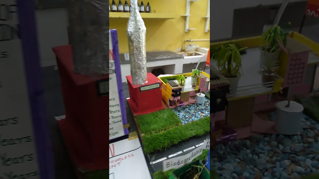 Cleanliness and Health management project model - YouTube