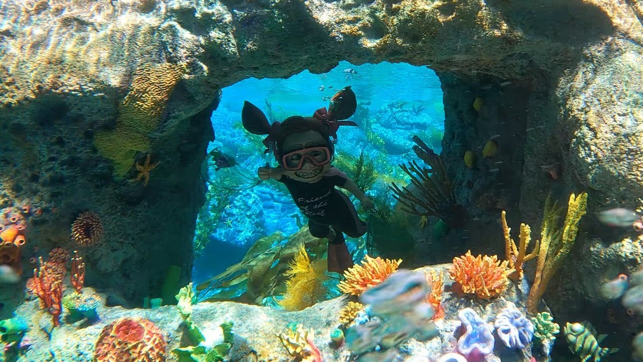 Disneyland | Finding Nemo Submarine Voyage | 4K | August 2022 - YouTube