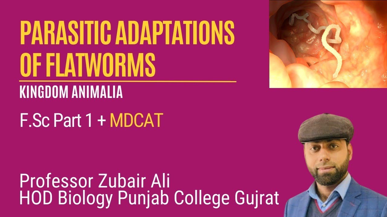 Parasitic Adaptations of Flatworms by Zubair Ali|F.Sc1& Entry test ...