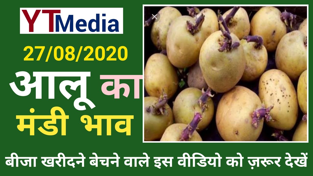 27Aug 2020, Potato rate today in UP, Bihar, MP, Rajsthan, Delhi, Punjab ...