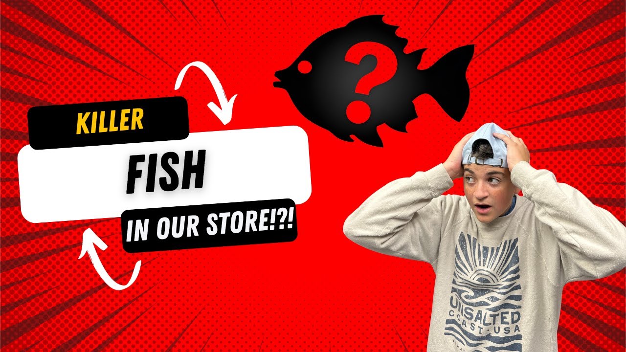 MAN EATING FISH AT OUR PET SHOP? - YouTube