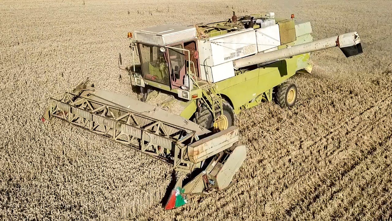 Fortschritt E517 bei der Weizenernte 2023 - YouTube