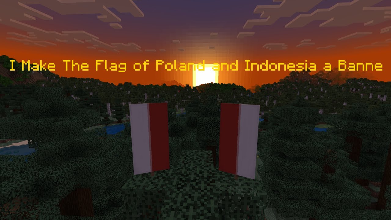 I Make The Flag of Poland and Indonesia a Banner (Minecraft) - YouTube