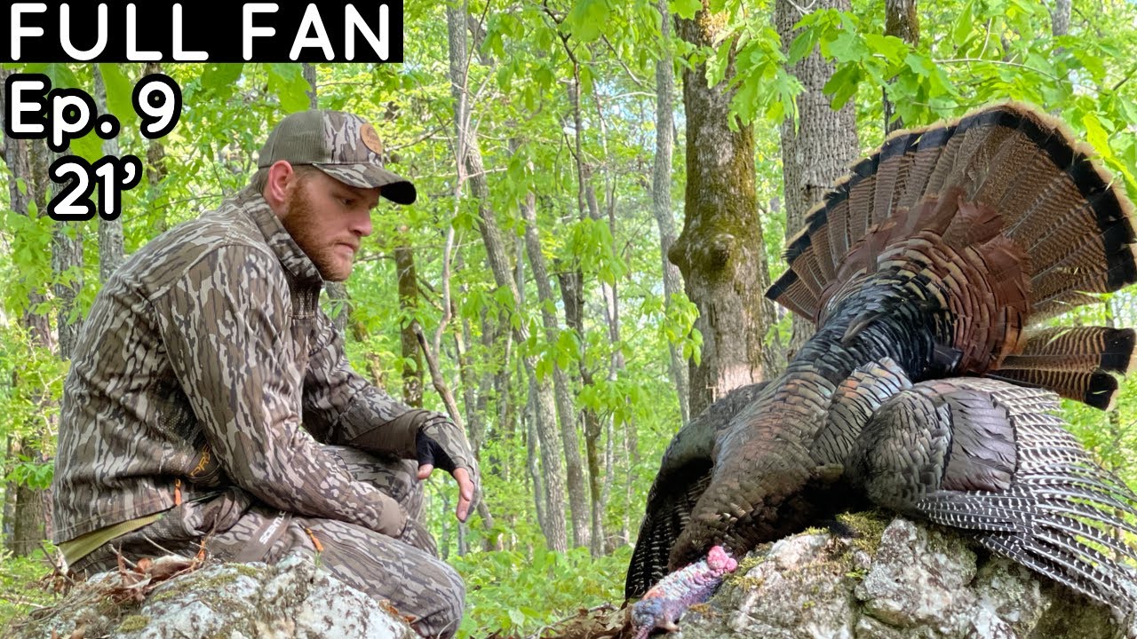 2nd CHANCE on a PRESSURED PUBLIC LAND GOBBLER | TURKEY HUNTING - YouTube