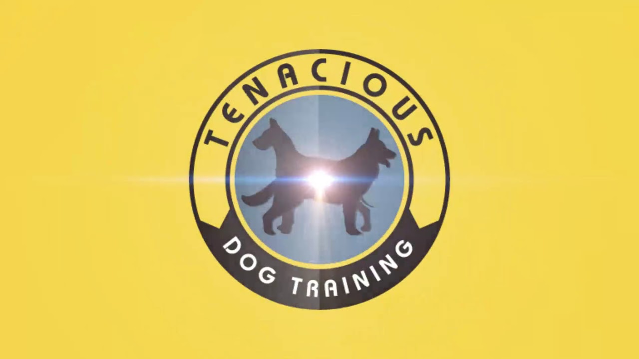 Tenacious Dog Training, Sioux Falls, South Dakota. - YouTube