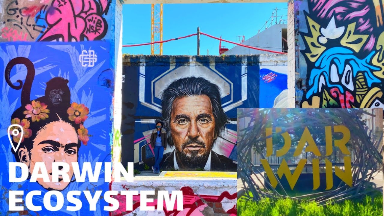 📍🇫🇷 DARWIN ECOSYSTEM DURING LOCKDOWN - BORDEAUX FRANCE WALKING TOUR ...