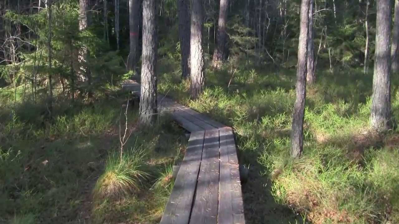 Tyresta Nationalpark. Tyresta By-Nyfors. - YouTube