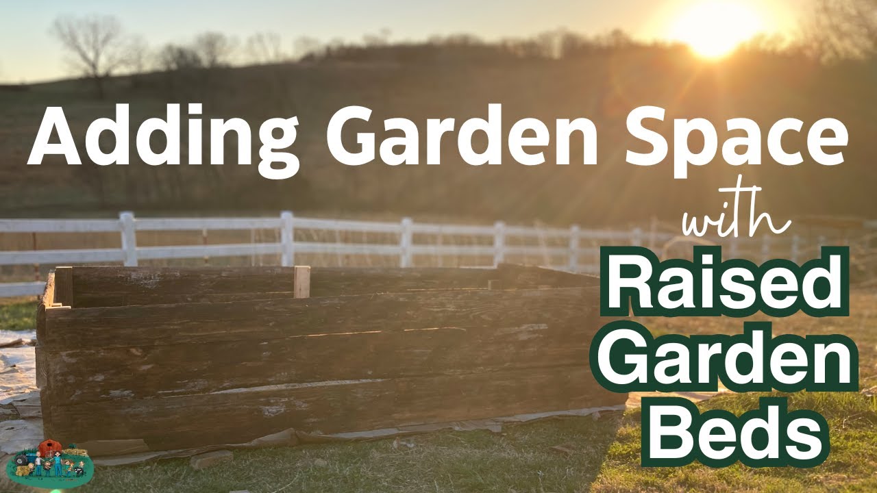 Adding Garden Spaces with Raised Garden Beds - YouTube