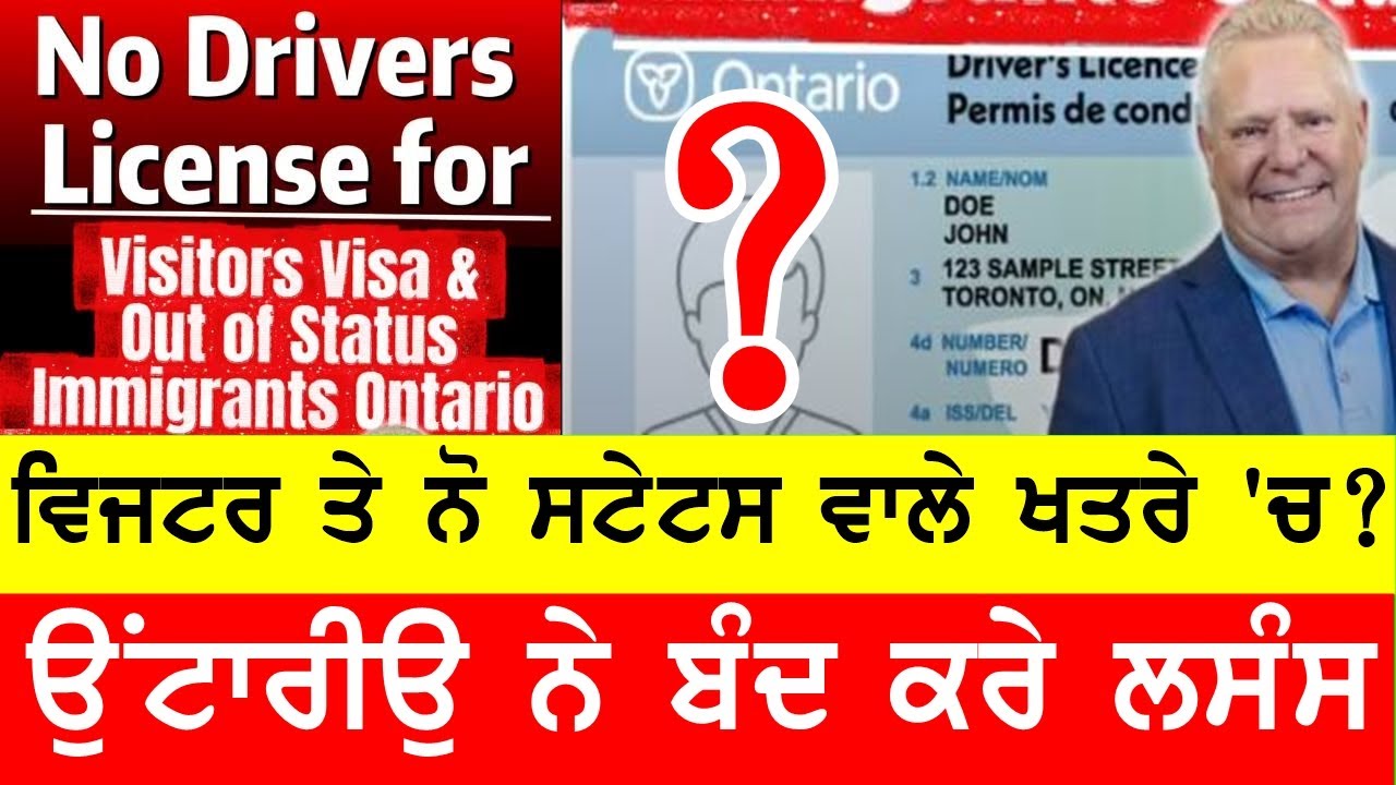 No Driver’s License for Visitors or Undocumented Immigrants - YouTube