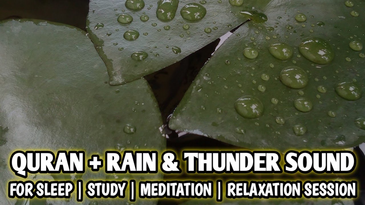 Rain And Peace Quran Recitation For Sleeping Relaxation Meditation ...