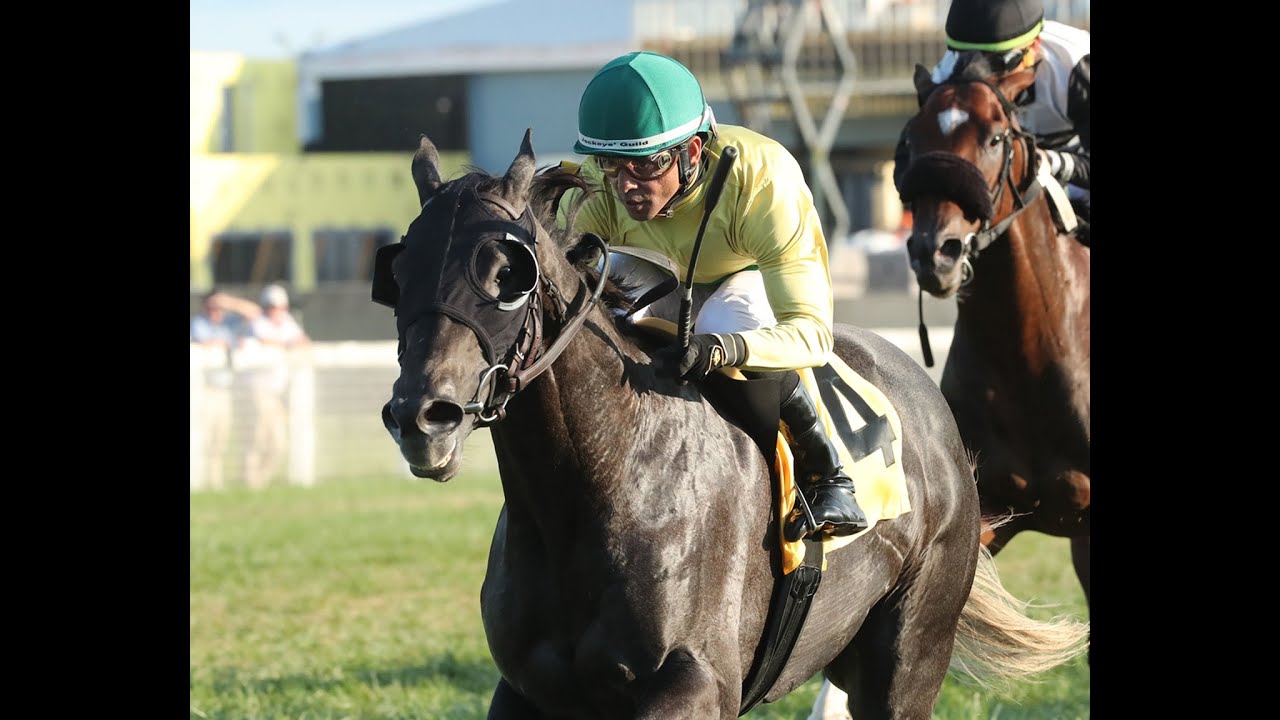 Play Action Pass - Gun Runner Stakes $400,000. - YouTube