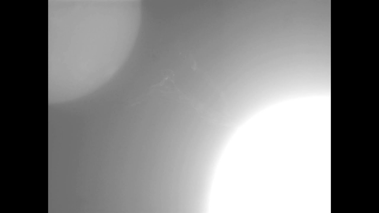 Largest Solar Prominence ever Recorded - YouTube