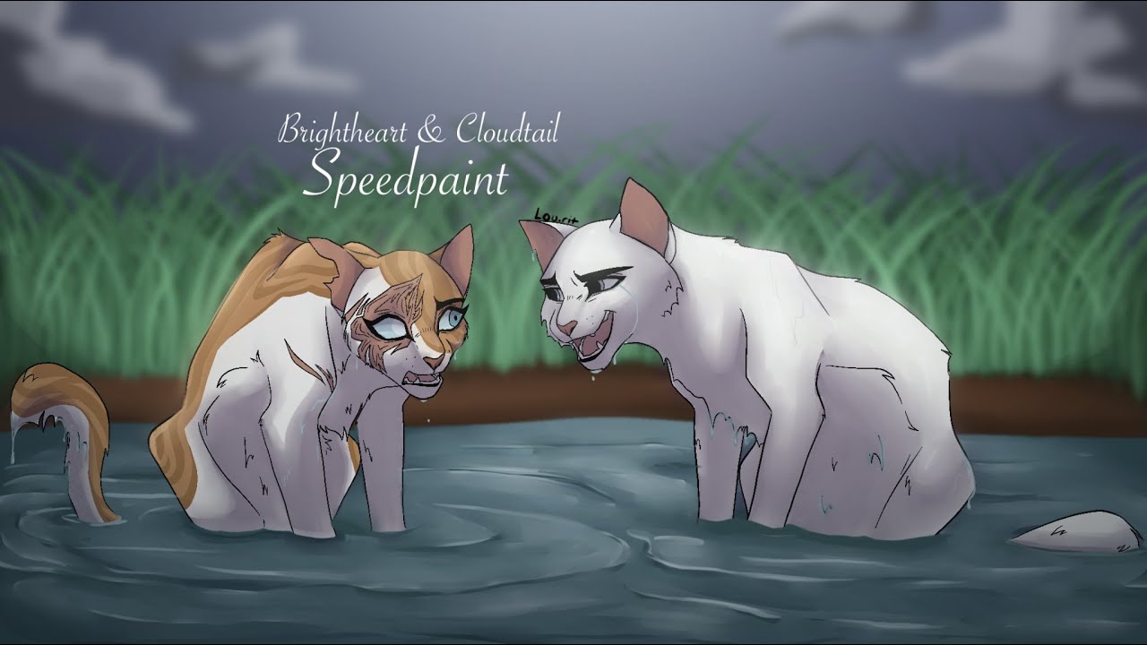 Brightheart & Cloudtail [SPEEDPAINT] - YouTube