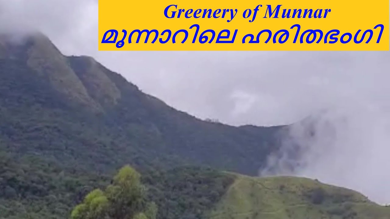 Munnar Greenery |മൂന്നാറിൻ്റെ പച്ചപ്പ് - YouTube