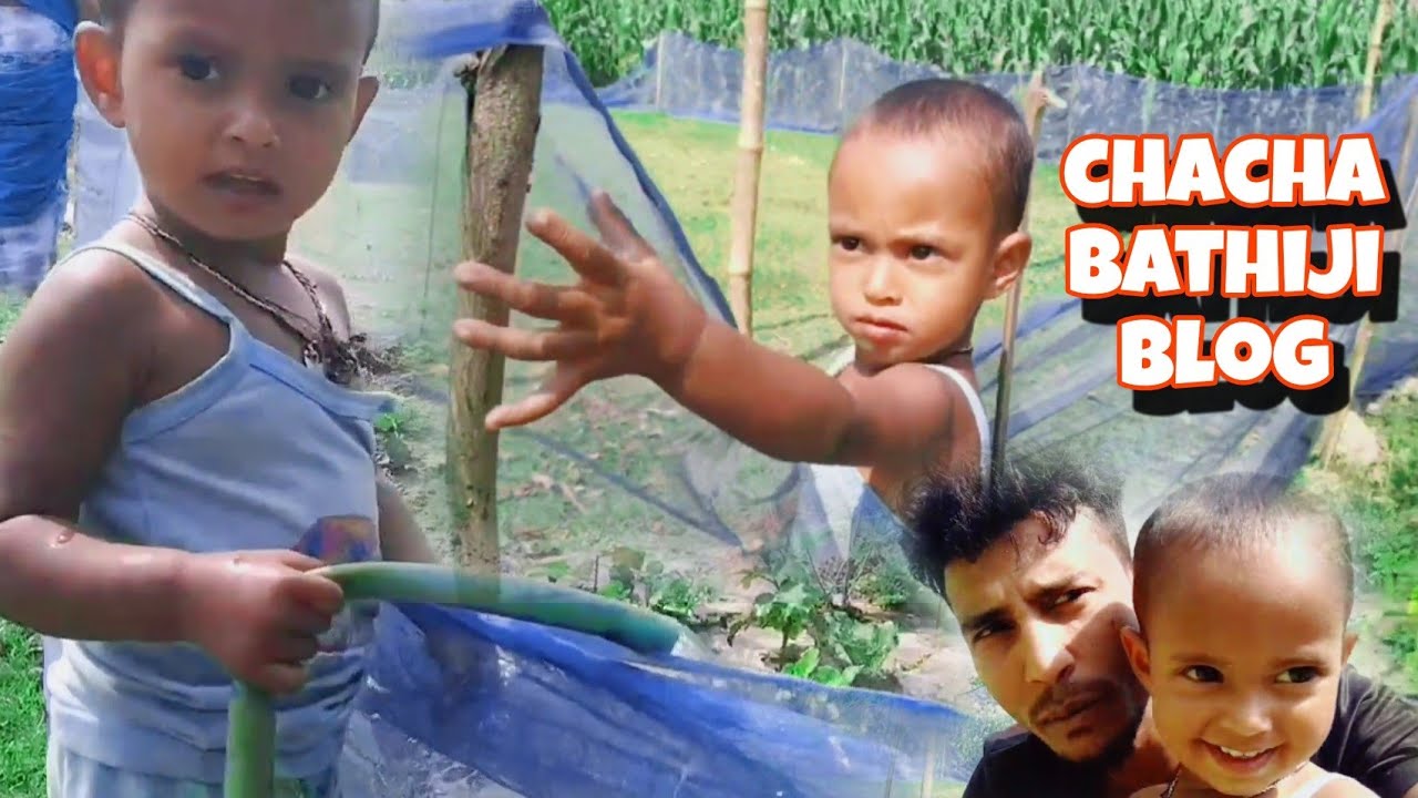 Chacha bhatiji new blog video 📸 - YouTube