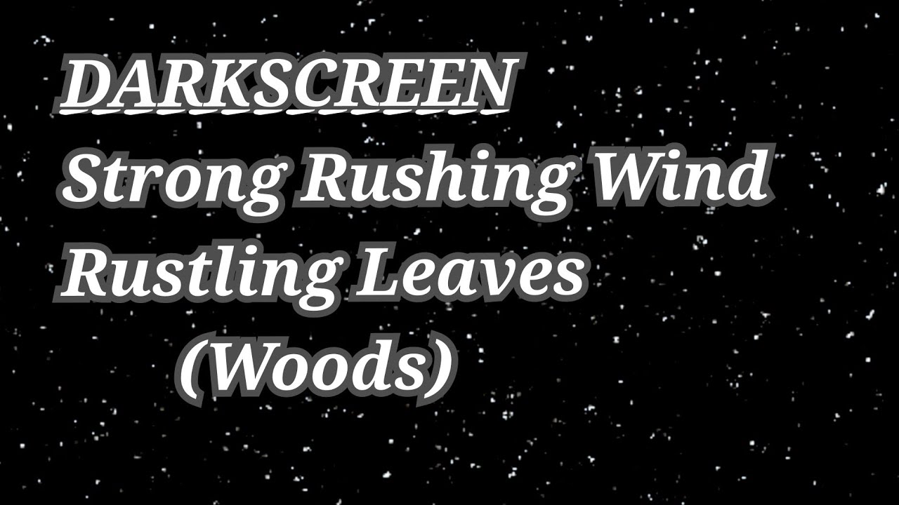 {2 HOURS Strong Rushing Wind/Rustling Leaves In Woods} Deep sleep ...