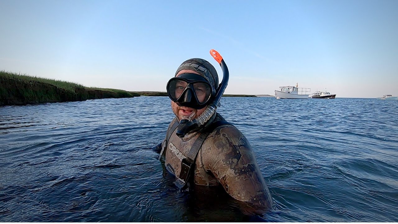 DIVING FOR LOBSTERS ON CAPE COD, MA - YouTube