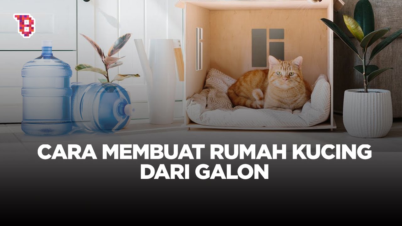 CARA MEMBUAT RUMAH KUCING DARI GALON, GAMPANG BANGET | LIFE HACKS - YouTube