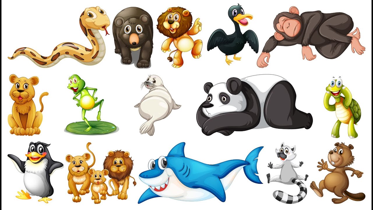 Animal Sounds , Вeautiful Animal Sounds: dolphin, sea lion, seal ...