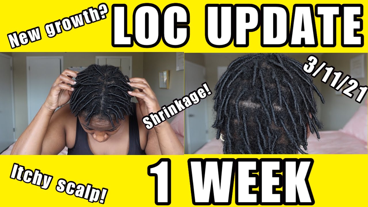 1 WEEK STARTER LOC UPDATE: 4C HAIR STARTER LOCS | Jada Lin - YouTube