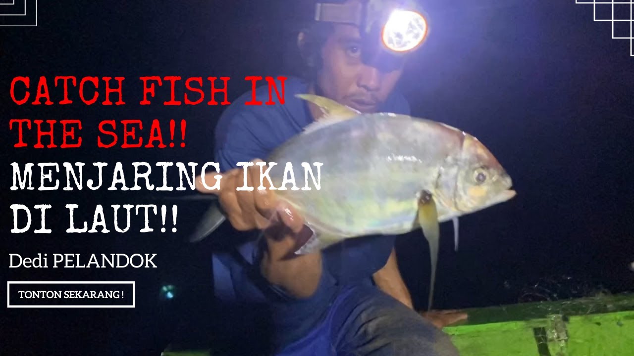 CATCH FISH IN THE SEA || MENJARING IKAN DILAUT || HASIL SANGAT ...