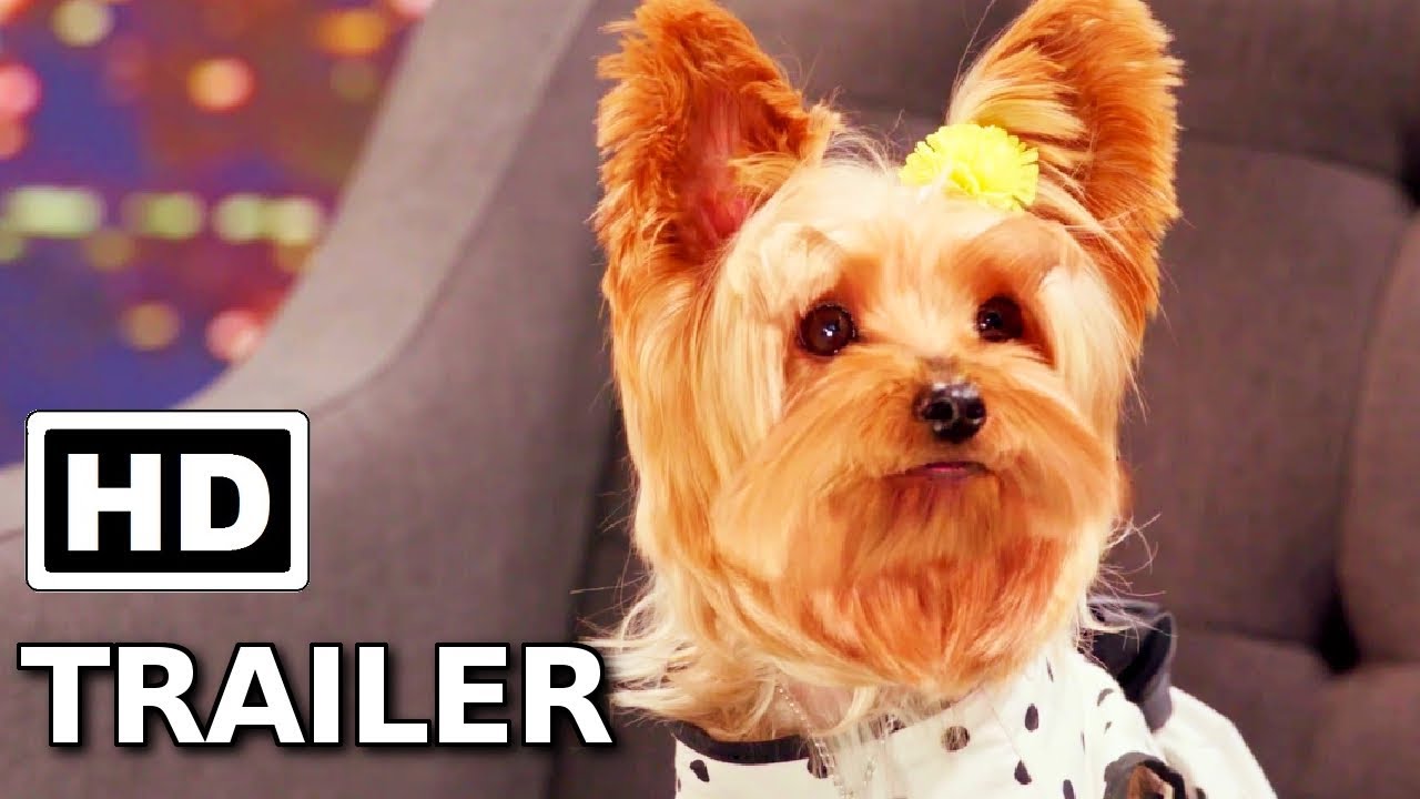 Pup Star : Better 2Gether Trailer #2 (2017) | Madison Pettis | David ...