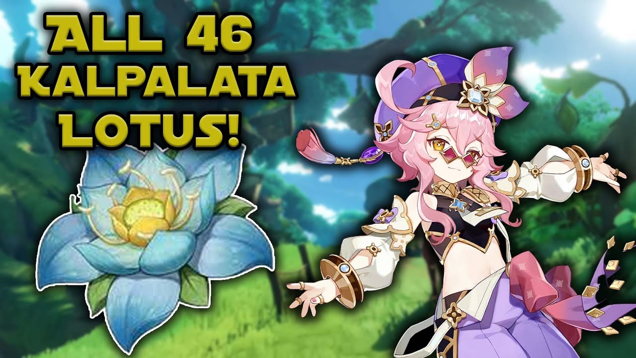 Kalpalata Lotus Farming Route! | Genshin Impact - YouTube