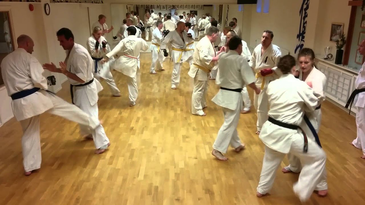 Uppsala Kyokushin Karate Gradering - Match 4 2015-06-02 - YouTube