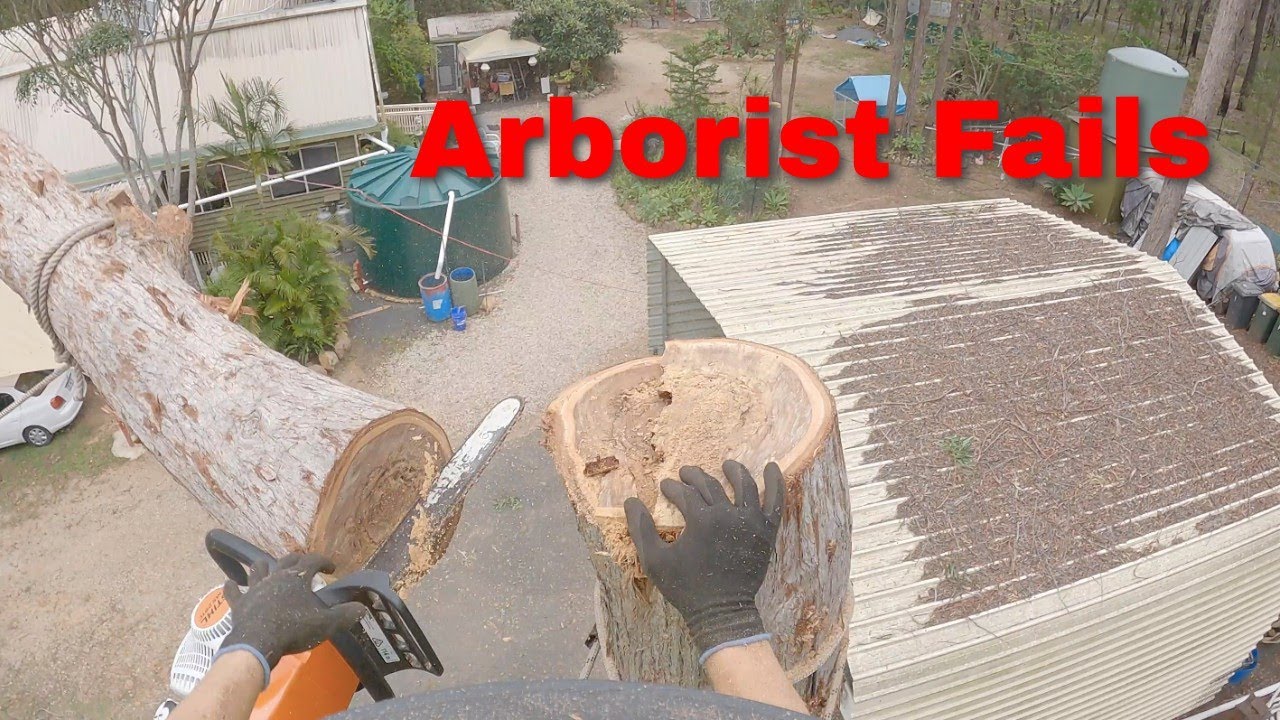 Tree Cutting Fails - YouTube