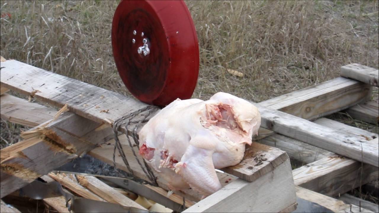 22LR ruger 10-22 BALLISTIC TESTS ON A CHICKEN - YouTube
