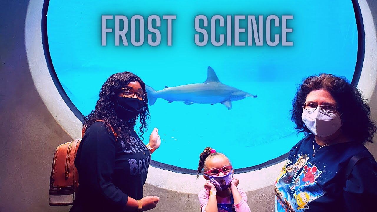 Frost Science Museum pt. 2 - YouTube