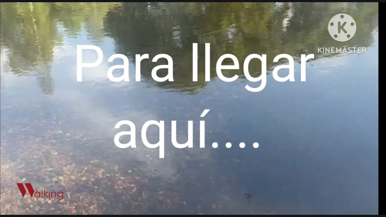 26 junio 2024 - YouTube