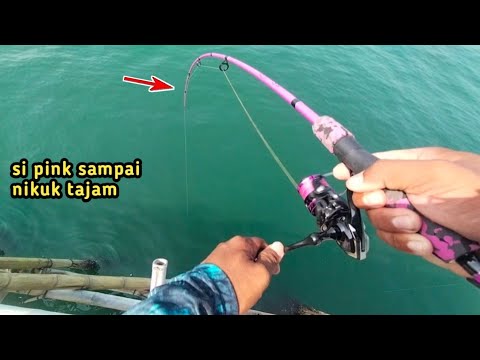 mancing di bagan!!! G01 popay.. si pink sampai menjerit kesakitan ...