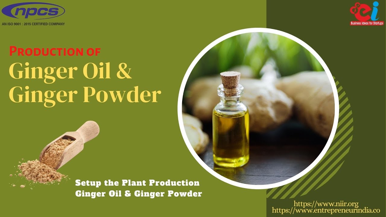 Production of Ginger Oil & Ginger Powder | Setup the Plant Production ...