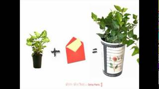Green Greetings™ by Delray Plants