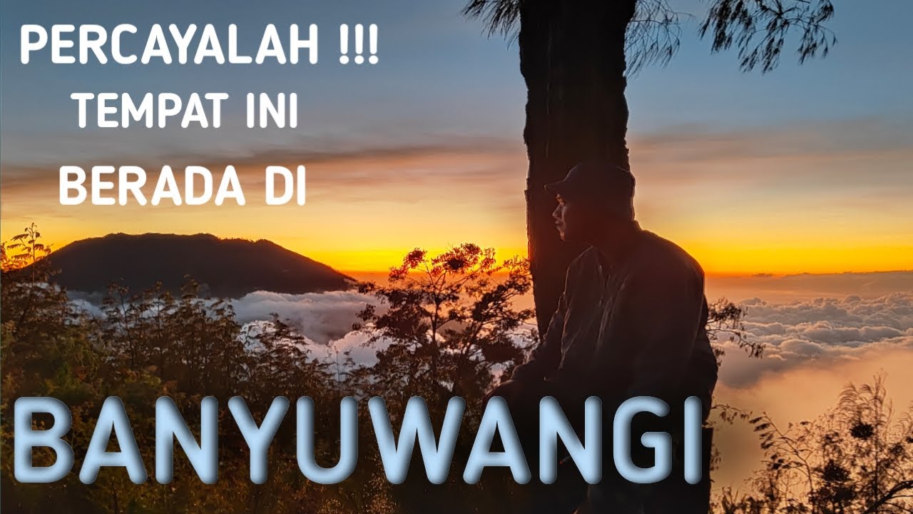 PUNCAK GUNUNG RANTI [BANYUWANGI] || SUASANA TERBARU GUNUNG RANTI ...