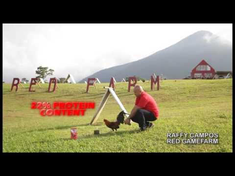 B-MEG INTEGRA POWERMAXX TVC 2015 - YouTube