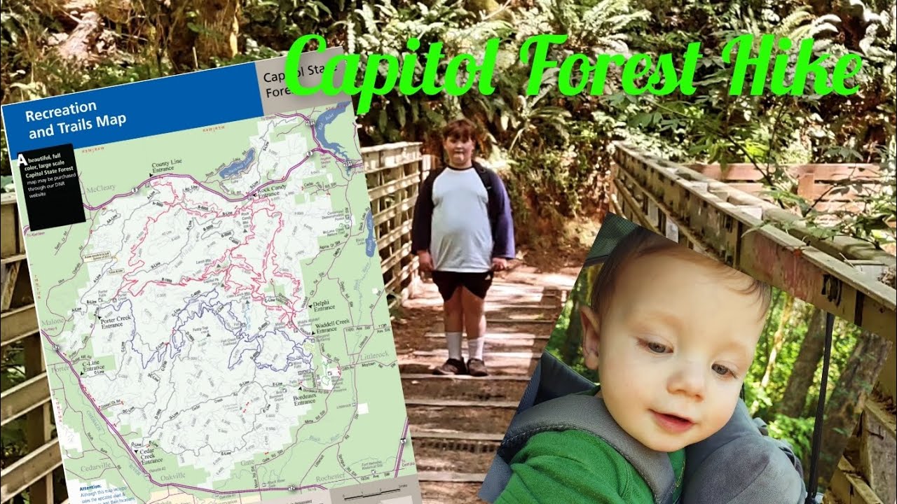 Capitol Forest Hike and History (Mima Falls Trail) - YouTube