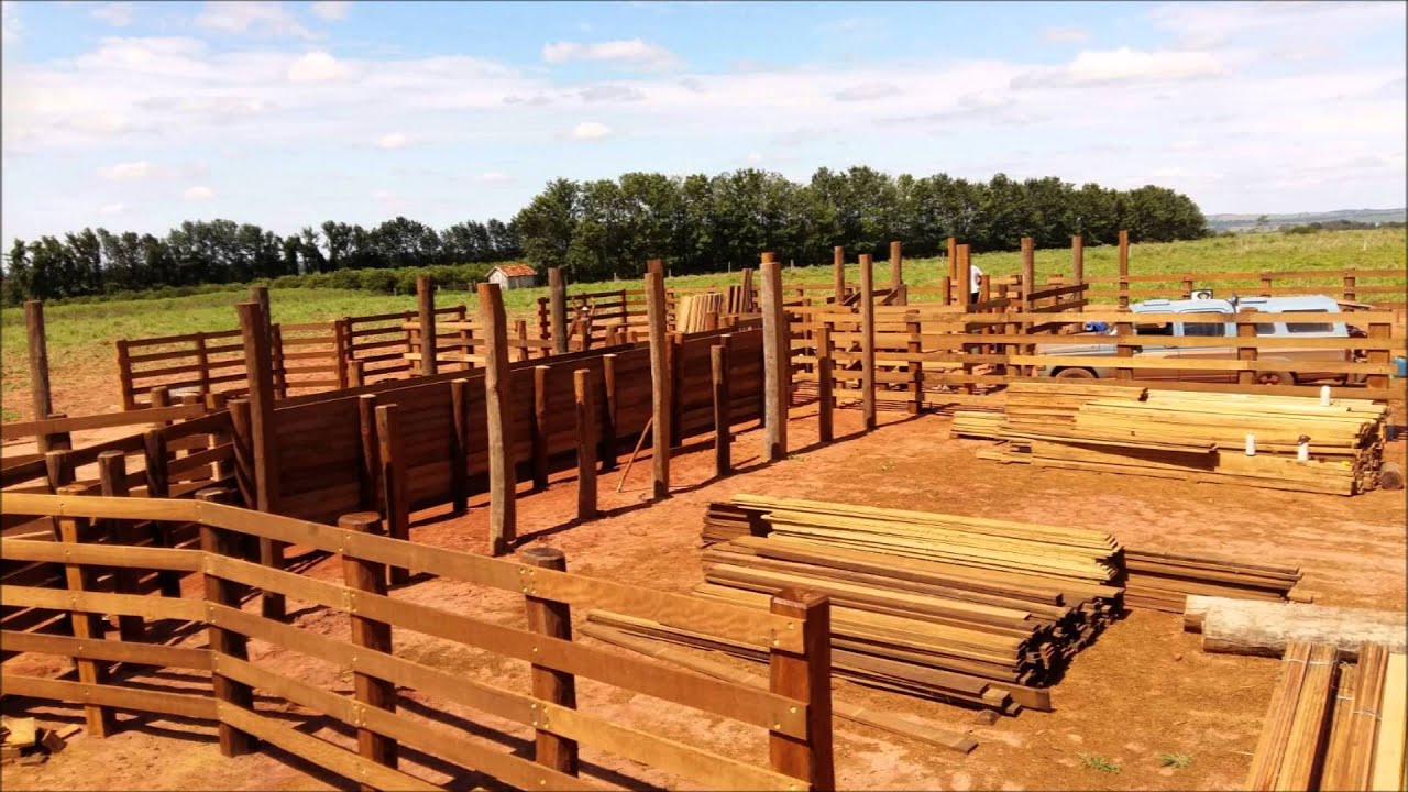 Curral Convencional - YouTube