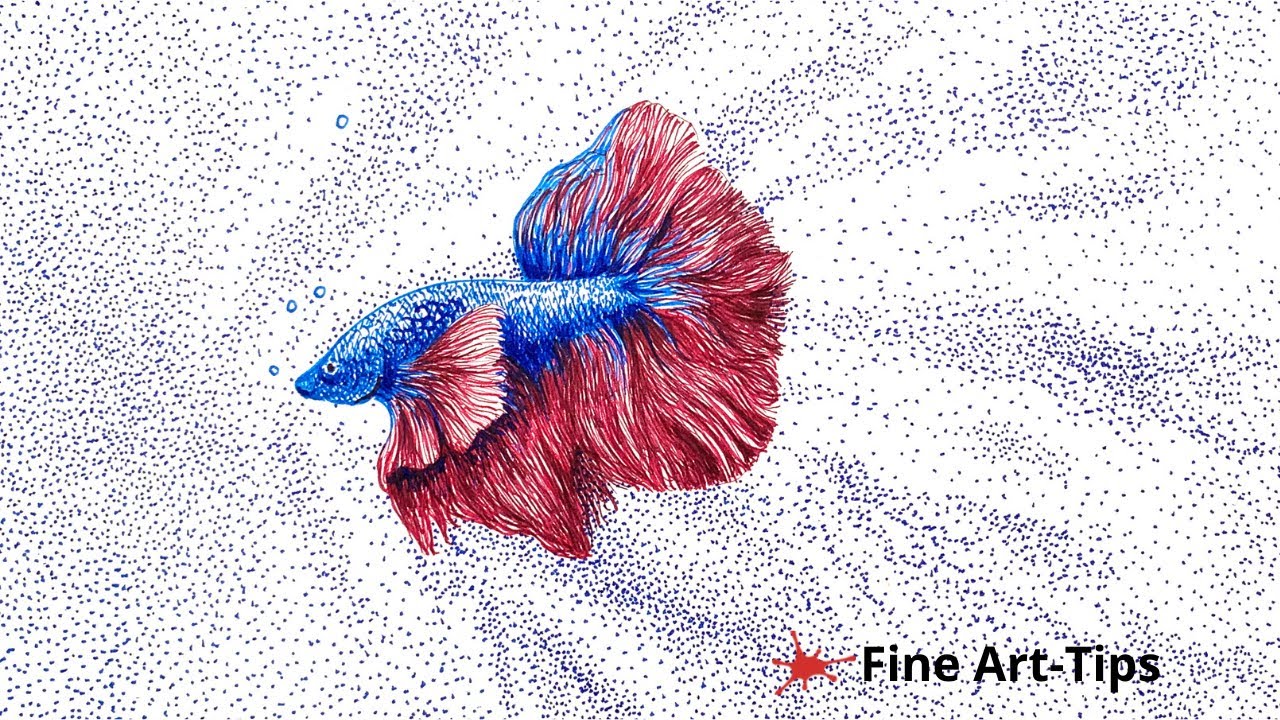 DRAWING A BETA FISH WITH FOUNTAIN PEN - Timelapse - YouTube