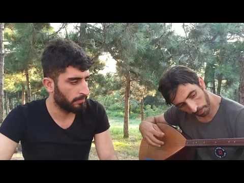 Giden kuşlar