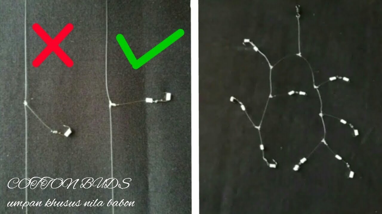 Cara Buat Rangkaian Pancing RAWE || COTTON BUDS Umpan Khusus Nila Babon ...
