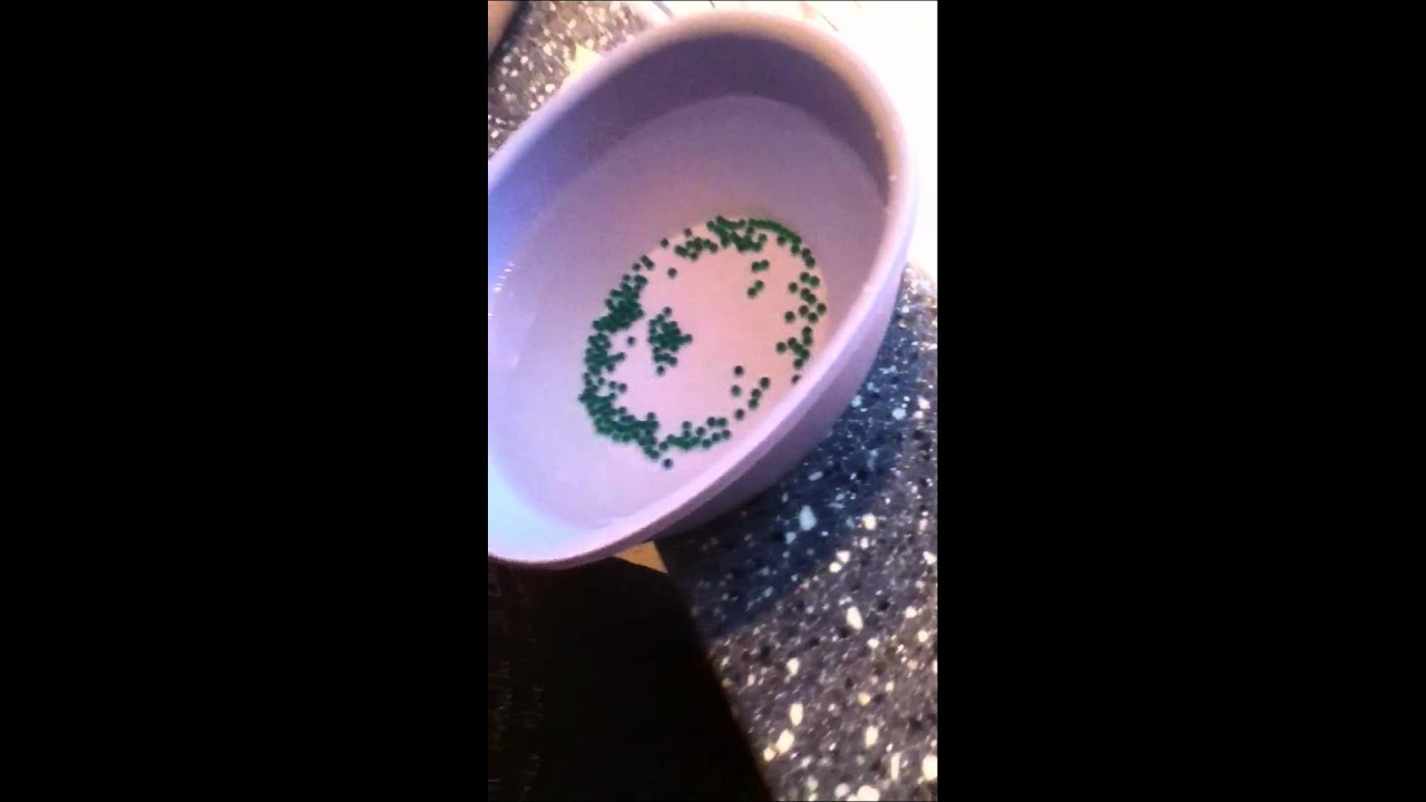 How to make orbees - YouTube