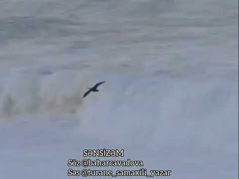 Bahar Cavadova. SƏNSİZƏM. Səs Turanə Şamaxılı.