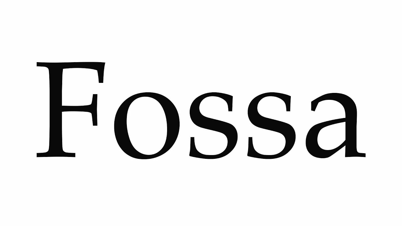 How to Pronounce Fossa - YouTube
