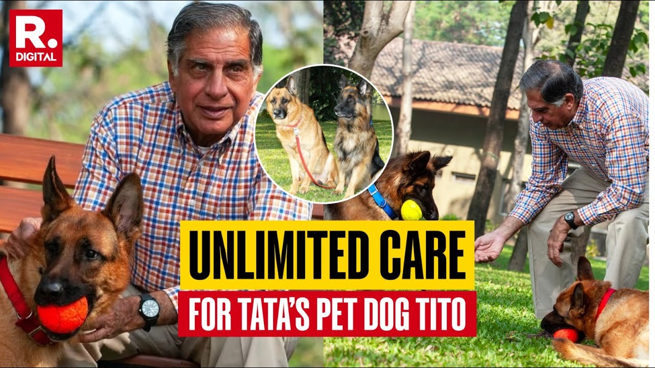 Ratan Tata Leaves Big Chunk For Pet Dog Tito From His 10,000 Crore ...