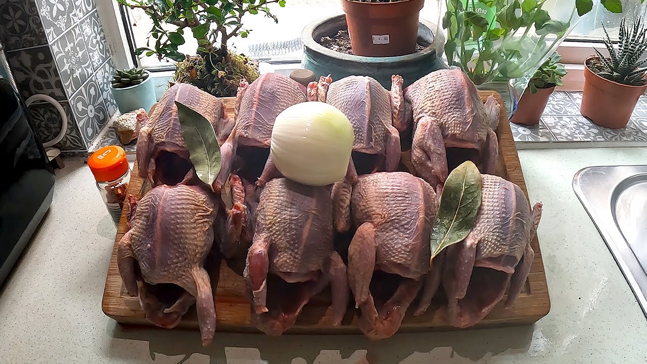 Cooking 8 BEAUTIFUL Pigeons DELICIOUS! #cooking #pigeons - YouTube