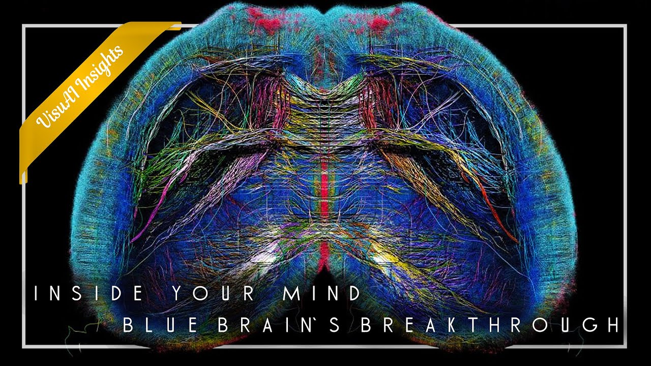 The Blue Brain Project: The Depths of Consciousness - YouTube