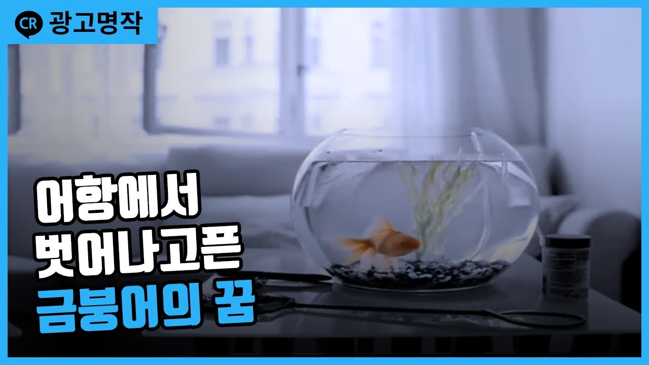 어항에서 벗어나고픈 물고기의 꿈 - PBS : FISH - YouTube